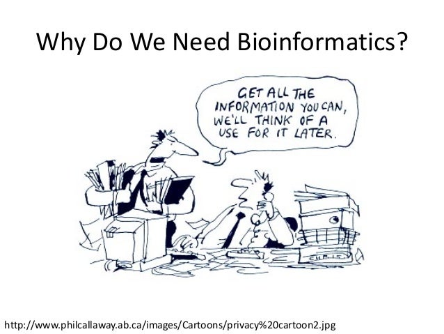 Introduction to Bioinformatics