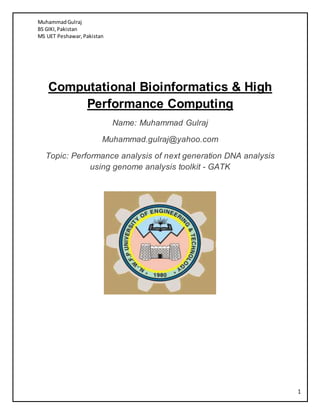 Paper - Muhammad Gulraj | DOCX | Computer Software and Applications | Computing