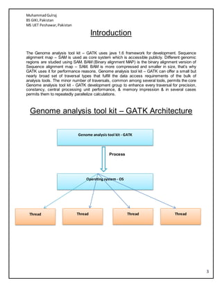 Paper - Muhammad Gulraj | DOCX | Computer Software and Applications | Computing