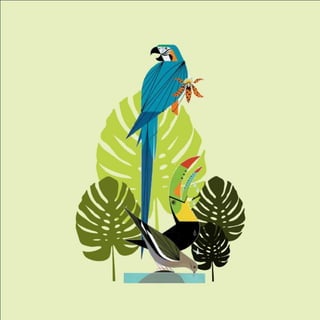 surajit biswas -menswear portfolio | PDF | Women\'s Clothing | Women\'s Fashion