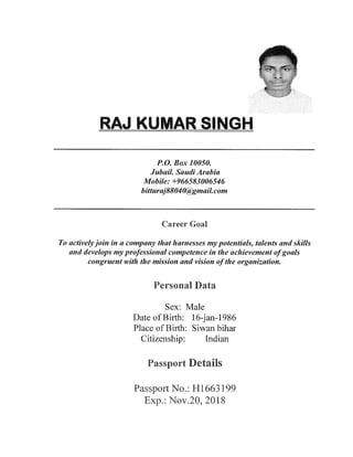 Raj Kumar Singh CV. | PDF