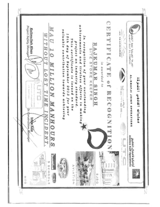 Raj Kumar Singh CV. | PDF