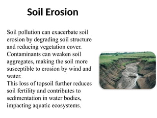 soil pollution causes definitionsolution | PPTX