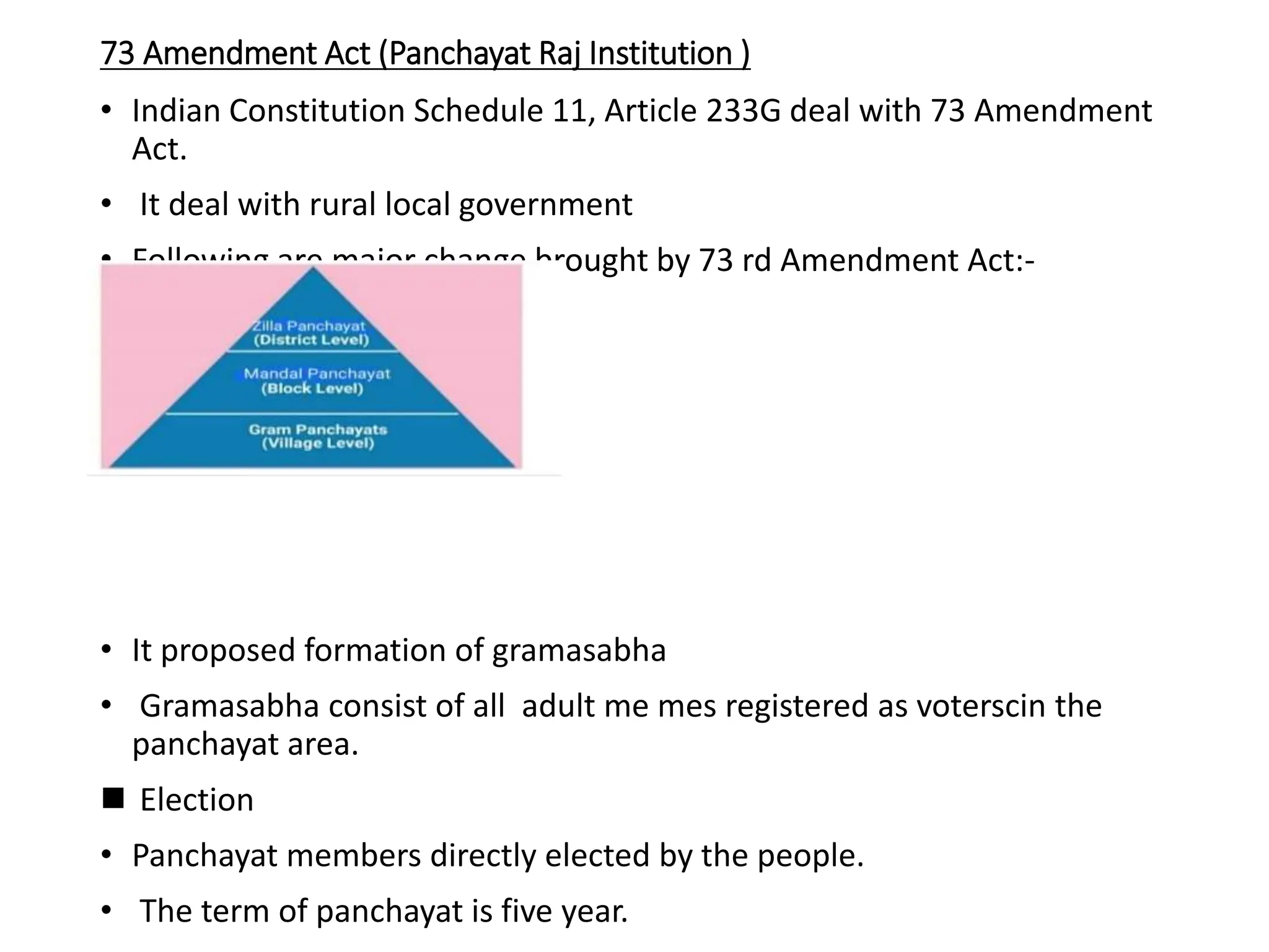 73&74 Amendment Act Social Science .pptx