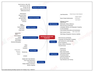 Marketing MindMap Expertise Holladay | PDF