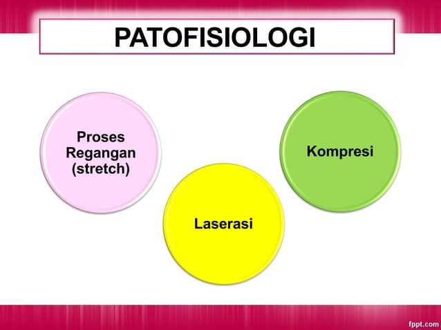 738150213-PPT-Plexopathy-DW0fadf822.pptx