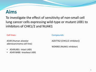 LKB1 | PPTX | Lung and Respiratory Health | Diseases and Conditions