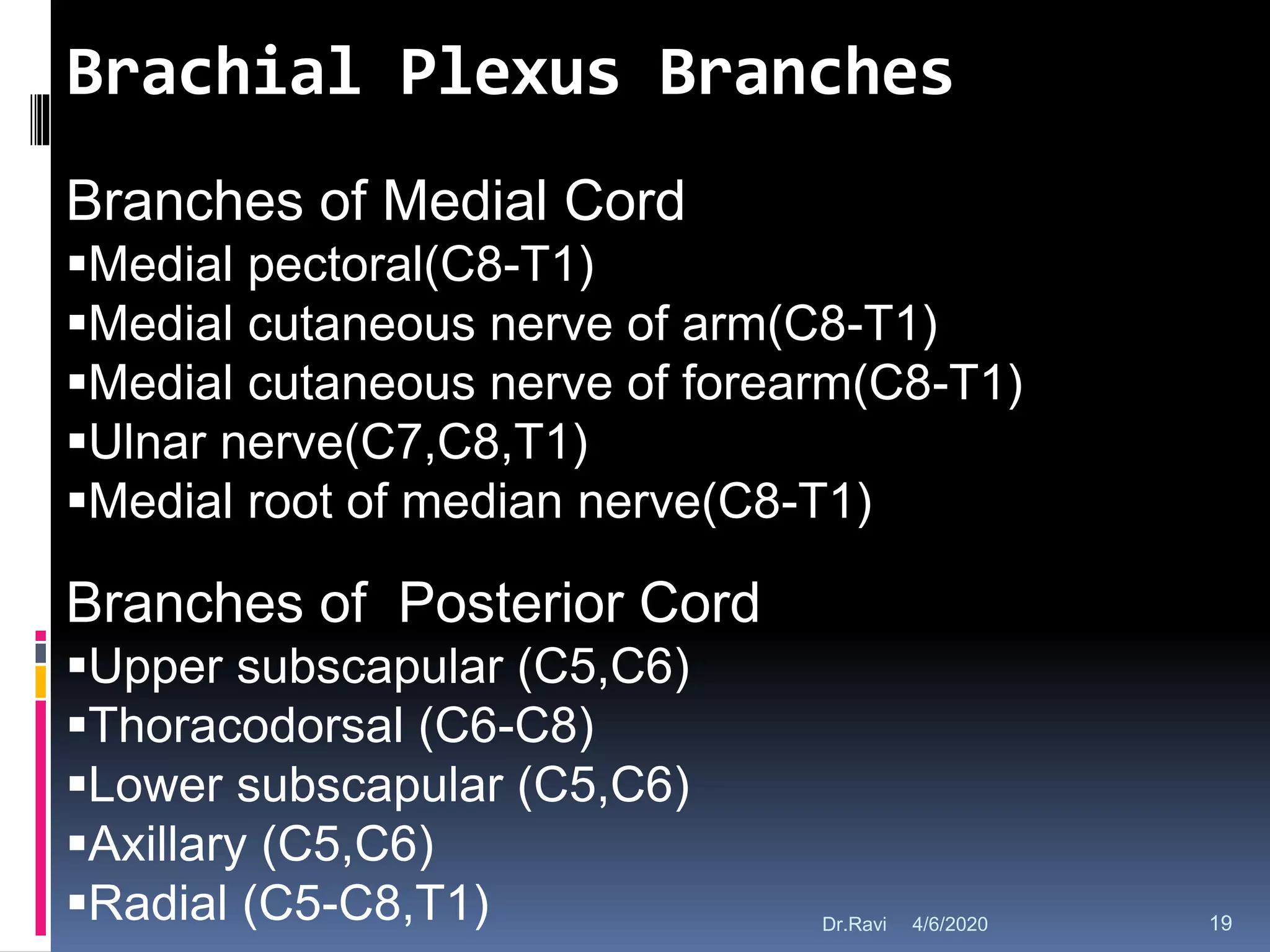 Brachial Plexus- Dr.K.S.Ravi