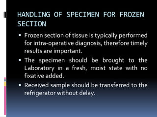 surgical pathology | PPTX