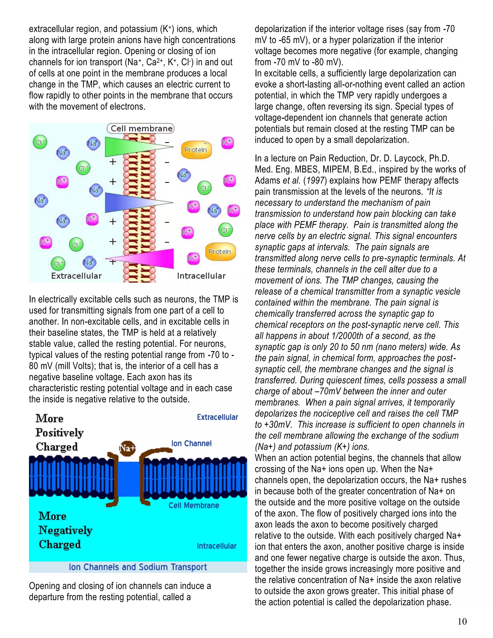 PEMFhowitworks | PDF