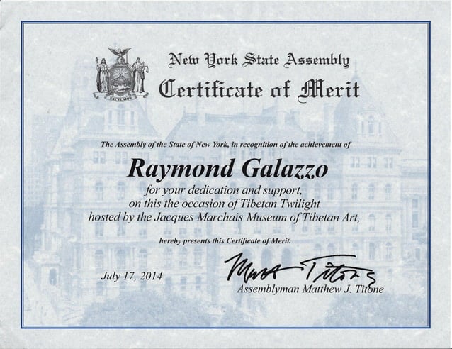 NYS Certificate of Merit | PDF