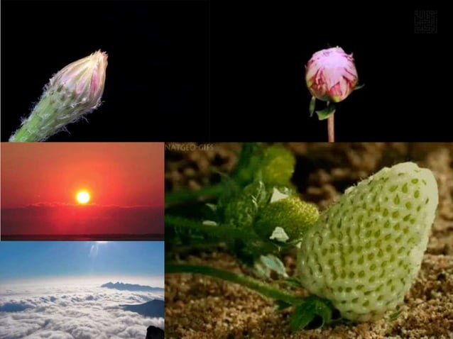 Ice Cream Time Lapse Presentation | PPT