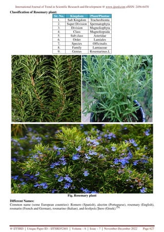 The Formulation, Evaluation and Pharmacological Properties of Rosemary ...