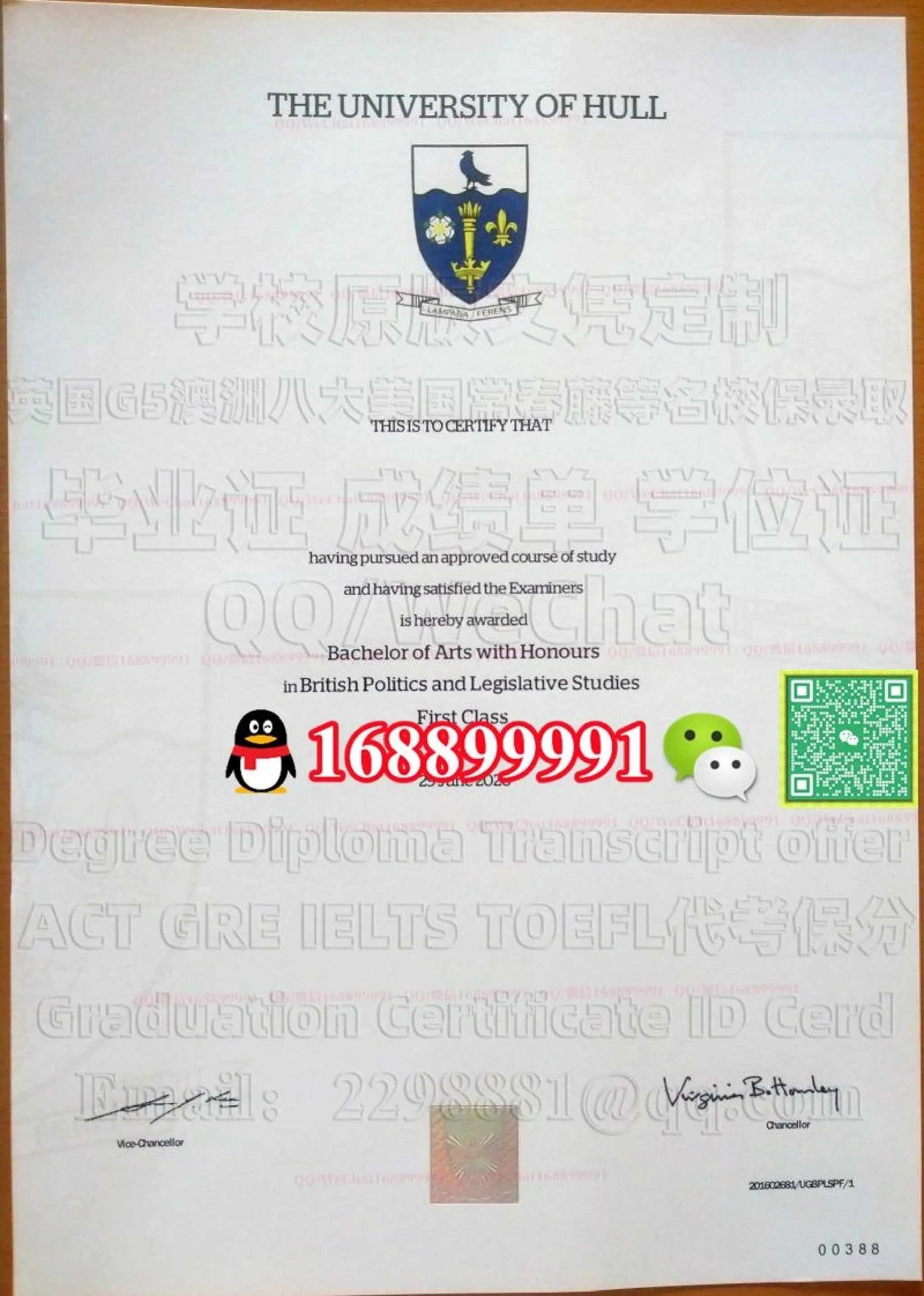 The University of Hull degree offer diploma Transcrip | PDF