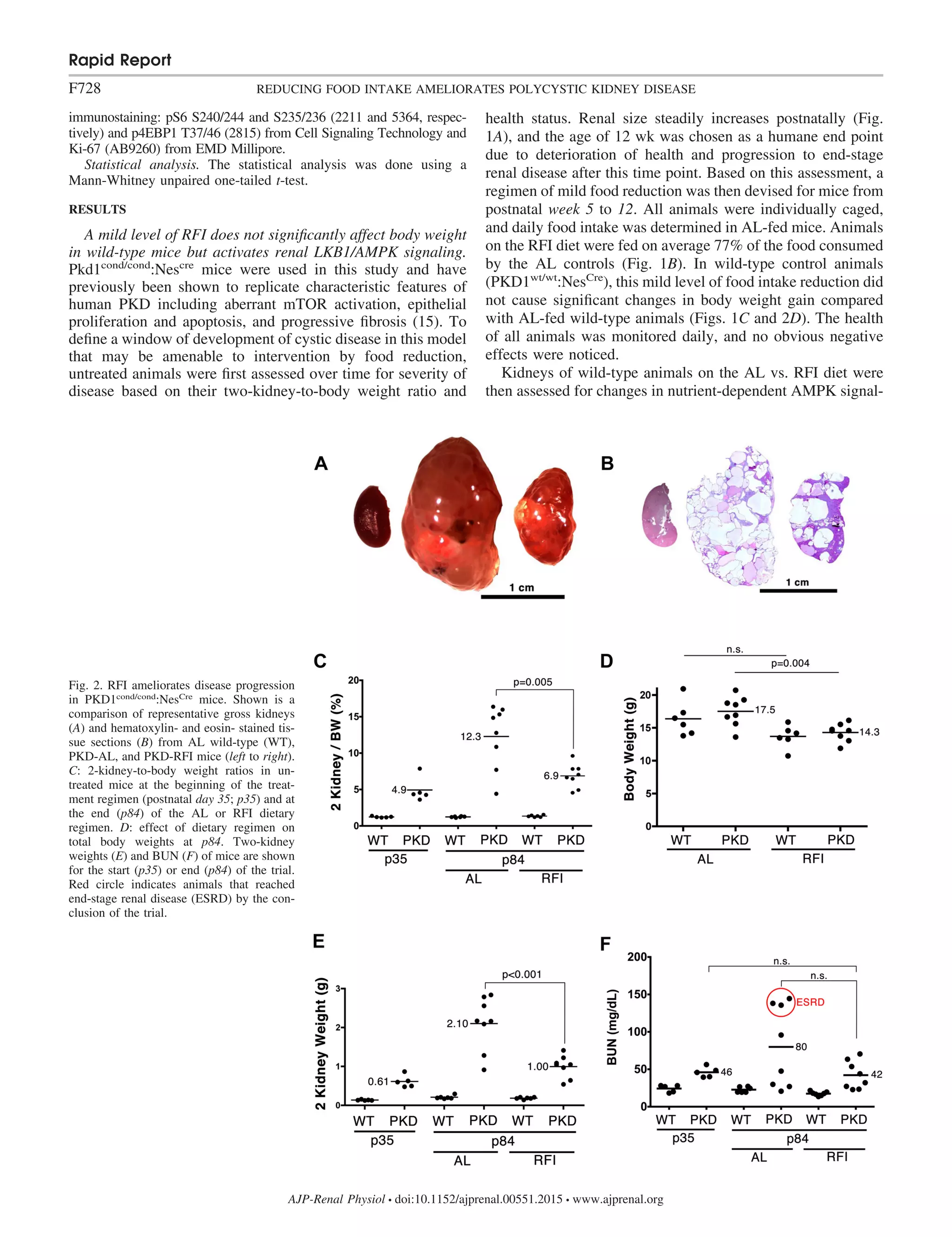 A mild reduction of food intake slows disease progression in an ...