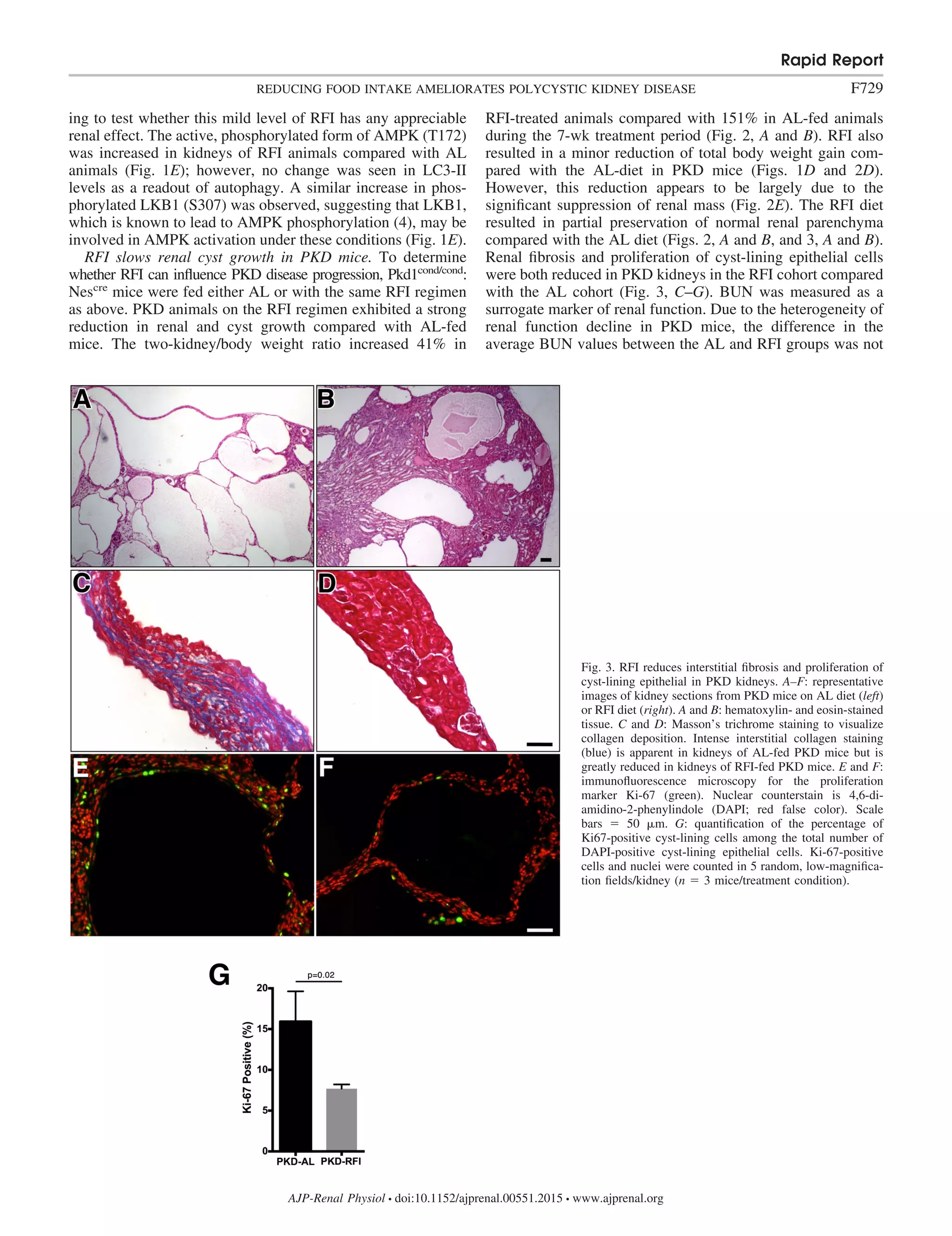 A mild reduction of food intake slows disease progression in an ...