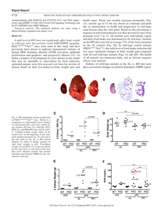 A mild reduction of food intake slows disease progression in an ...