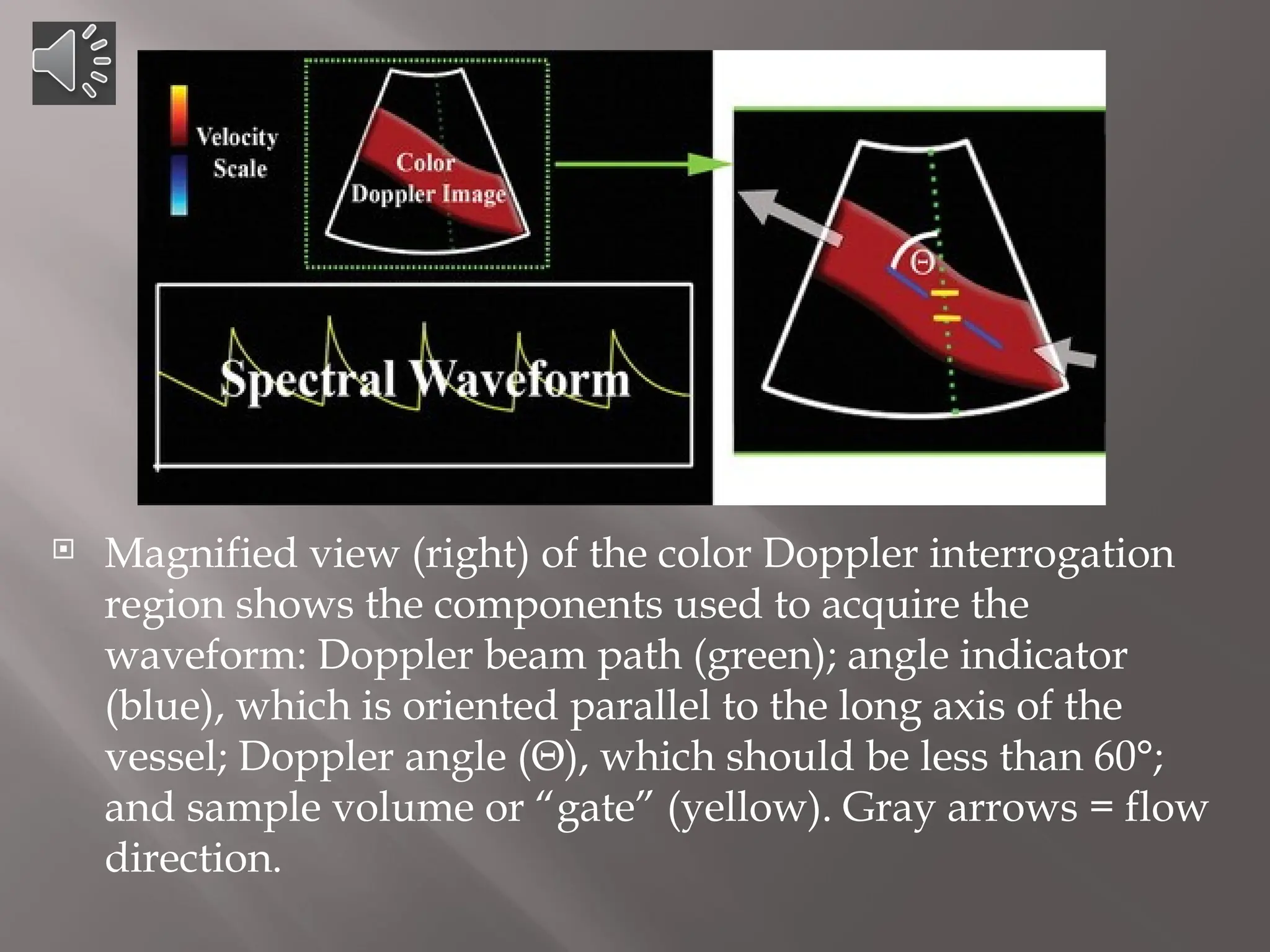 Ultrasound notes for you 740554.pptx.pptx