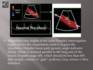 Ultrasound notes for you 740554.pptx.pptx