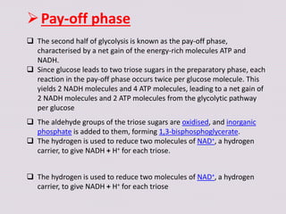 Glycolysis-general introduction and pathway with biochemical logic | PPTX