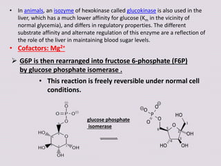 Glycolysis-general introduction and pathway with biochemical logic | PPTX