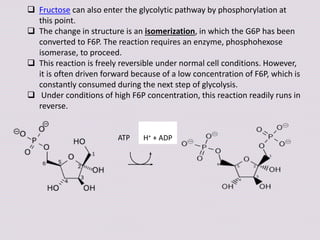 Glycolysis-general introduction and pathway with biochemical logic | PPTX