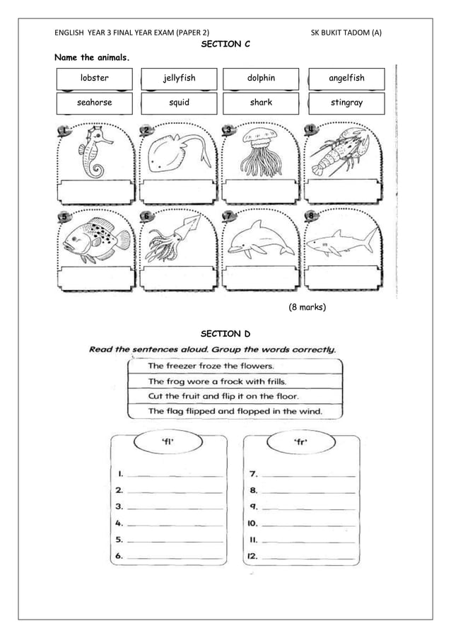 english test-year-3-paper-2 | DOCX | Standardized Testing | Educational ...