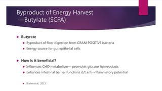 Microbiota | PPTX