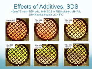 BLUE PHASE PRESENATATION | PPT