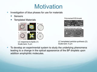 BLUE PHASE PRESENATATION | PPT