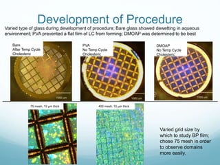 BLUE PHASE PRESENATATION | PPT