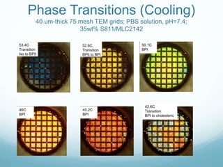 BLUE PHASE PRESENATATION | PPT