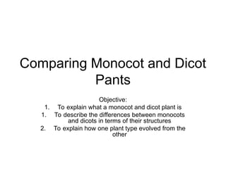 Comparing Monocot and Dicot Plants PowerPoint | PPT