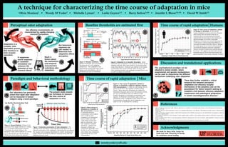Adaptation_Poster | PPT