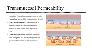 748321228-MUCOSAL-DRUG-DELIVERY-SYSTEM.docx