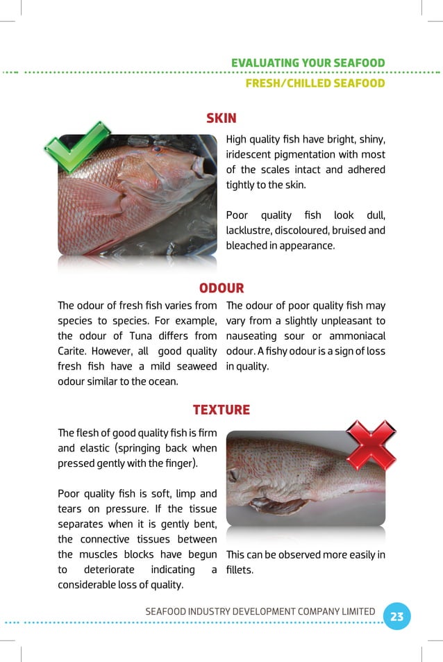SIDC Seafood Handbook | PDF | Food Industry | Industries