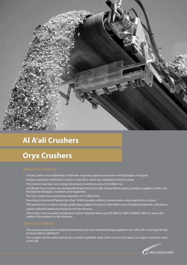 Oryx Industries profile | PDF