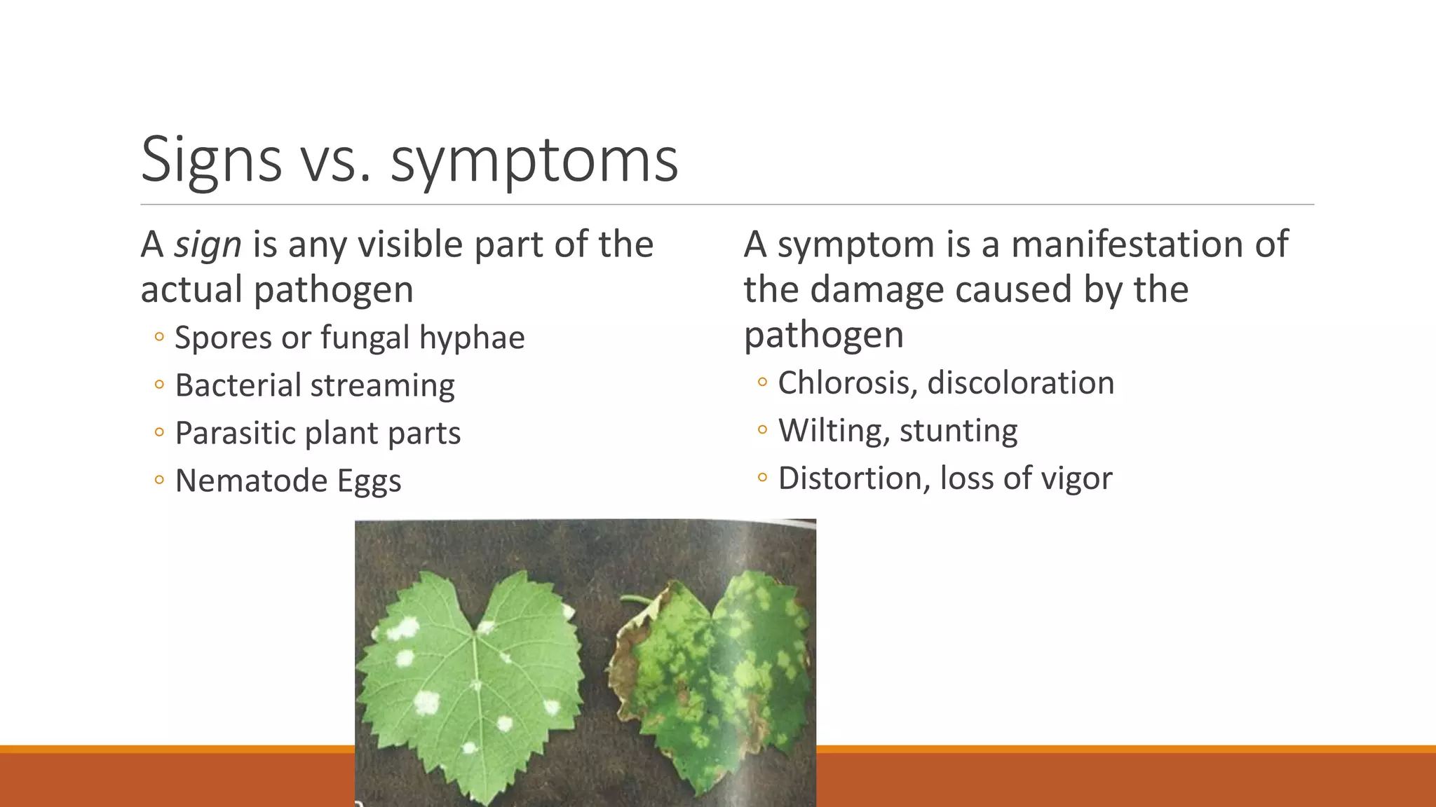 MG plant pathology | PPTX