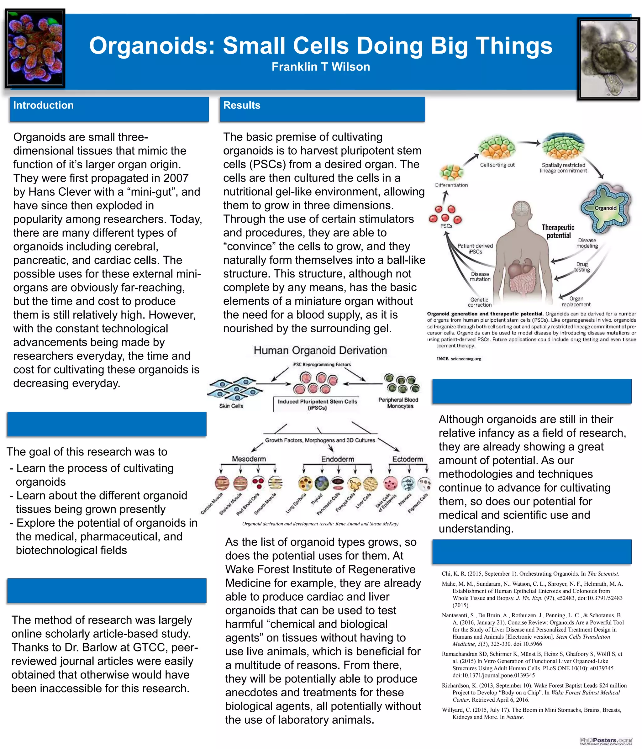 Organoid Poster | PPTX