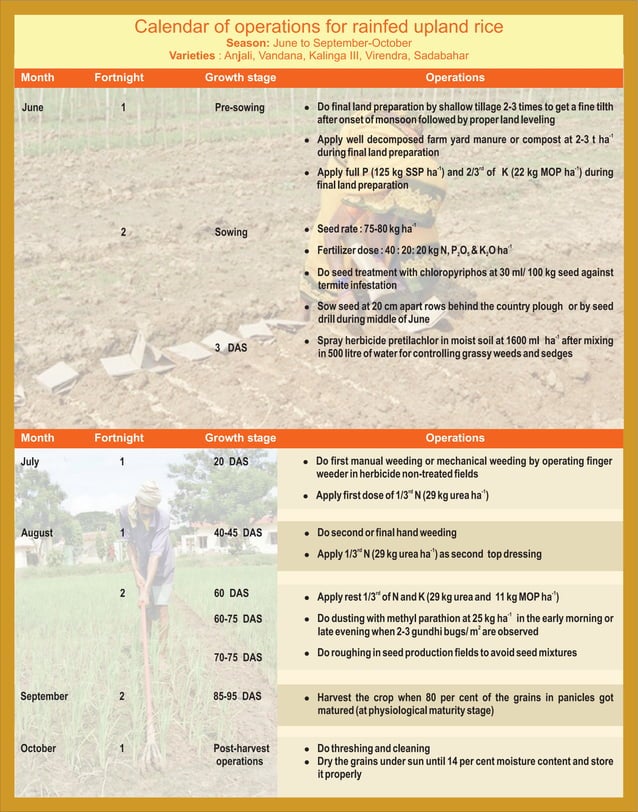 75.-Crop-CalenderMonthly-Crop-Calender-for-Rice-Cultivation-_English.pdf