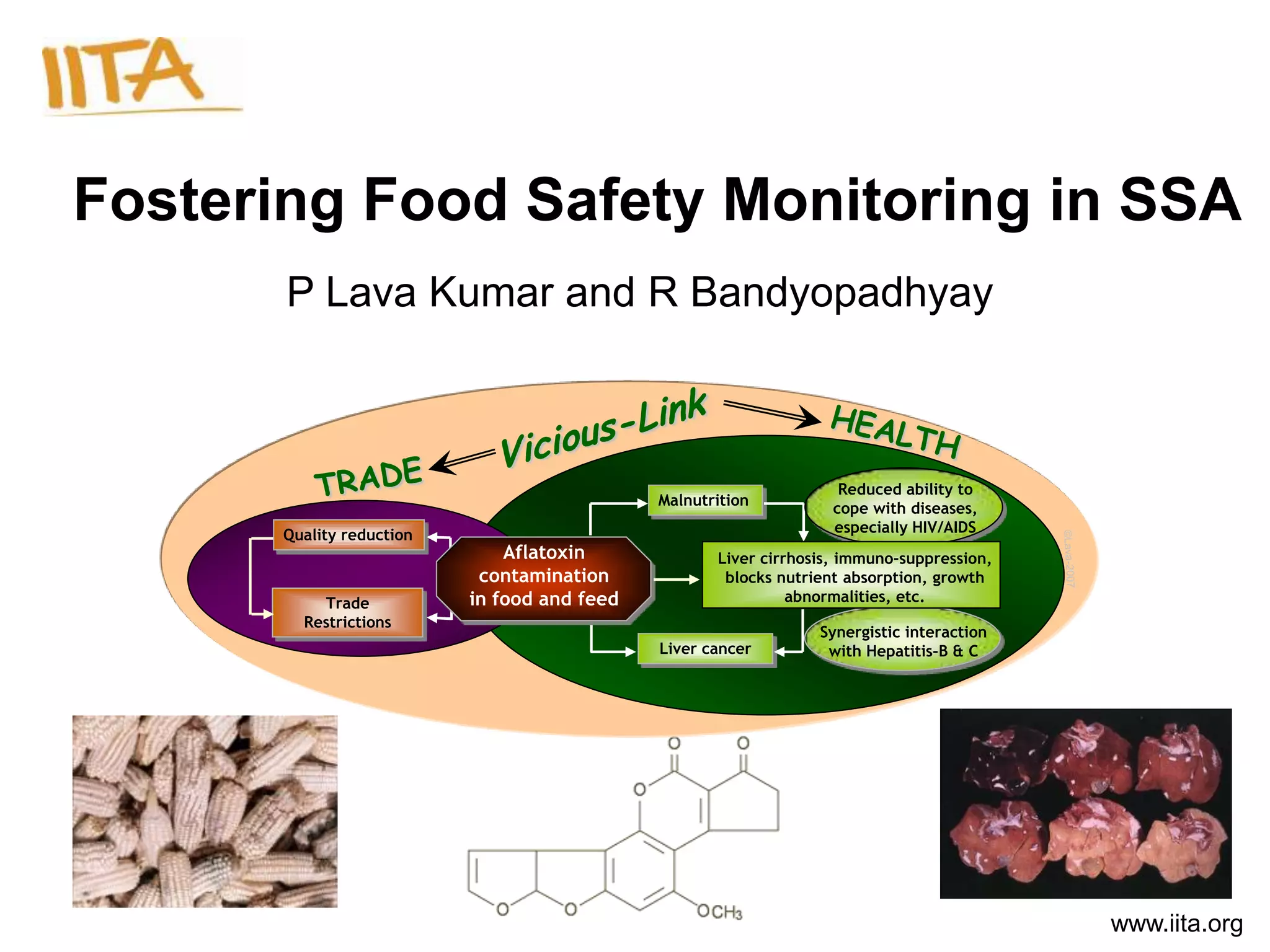 Fostering Food Safety Monitoring in SSA | PDF