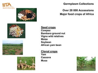 Germplasm collections,conservation, health documentation and distribution | PDF