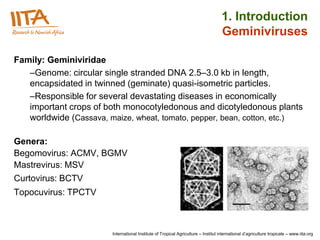 Production of Monoclonal and Polyclonal Antibodies for Detection of ...
