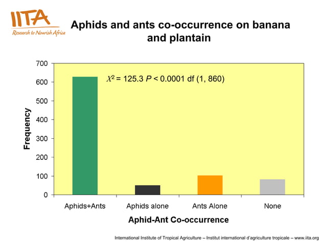 Biology, monitoring and management of banana aphid – vector of banana ...