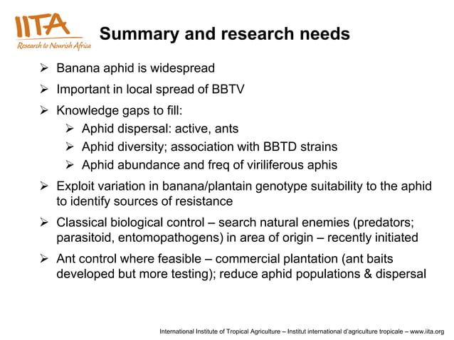 Biology, monitoring and management of banana aphid – vector of banana ...