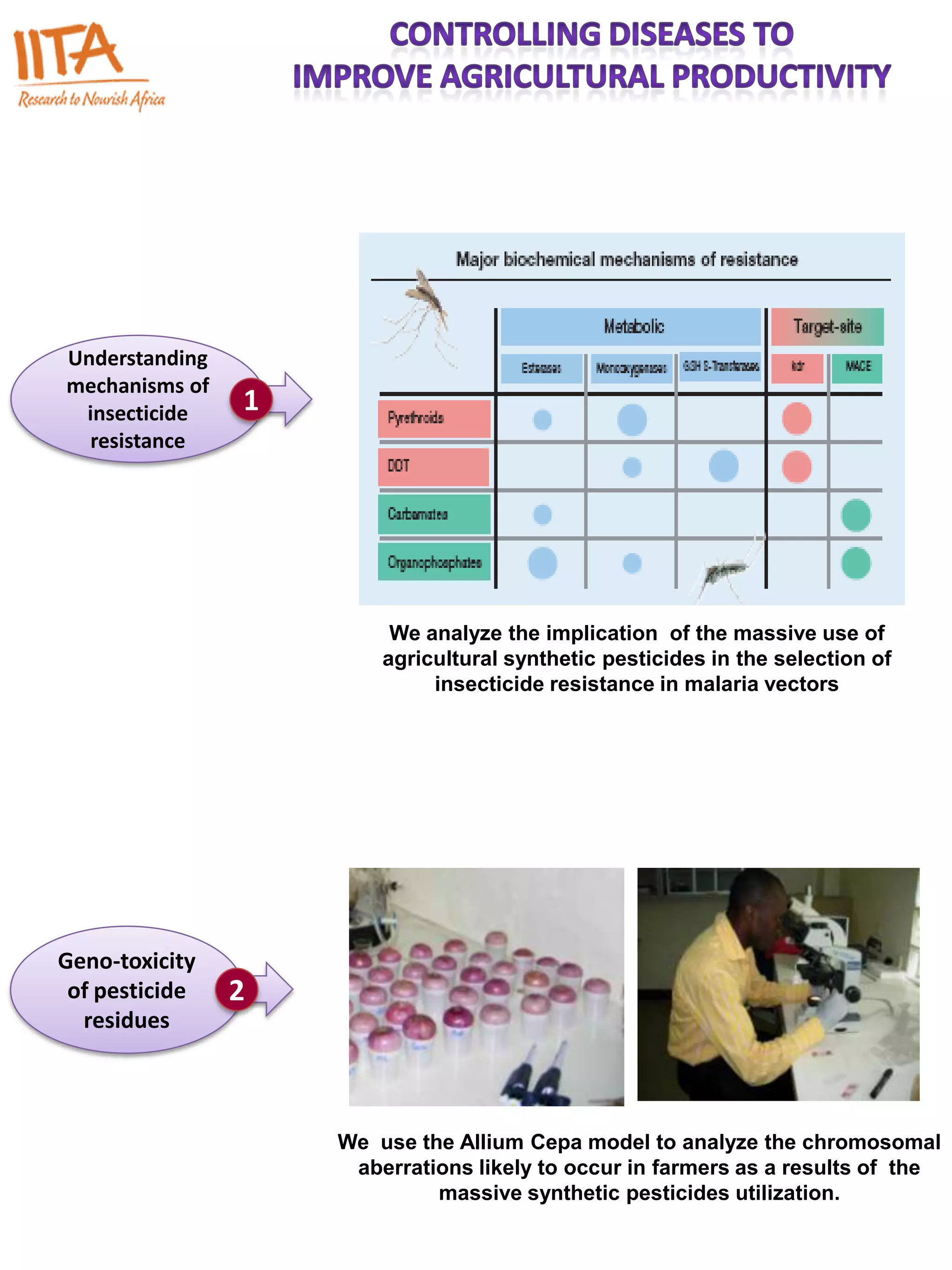 LINKING FOOD SECURITY AND HEALTH | PDF