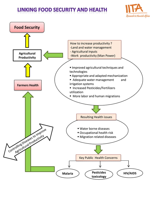 LINKING FOOD SECURITY AND HEALTH | PDF | Agriculture | Industries