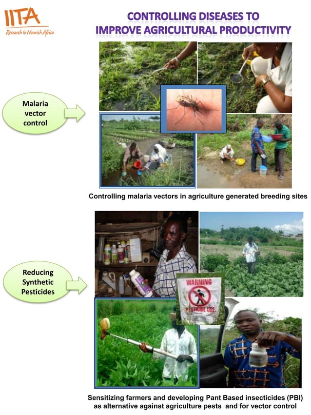 LINKING FOOD SECURITY AND HEALTH | PDF | Agriculture | Industries