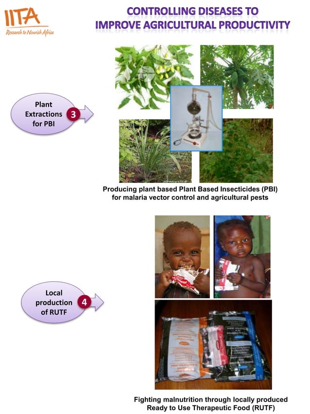 LINKING FOOD SECURITY AND HEALTH | PDF | Agriculture | Industries