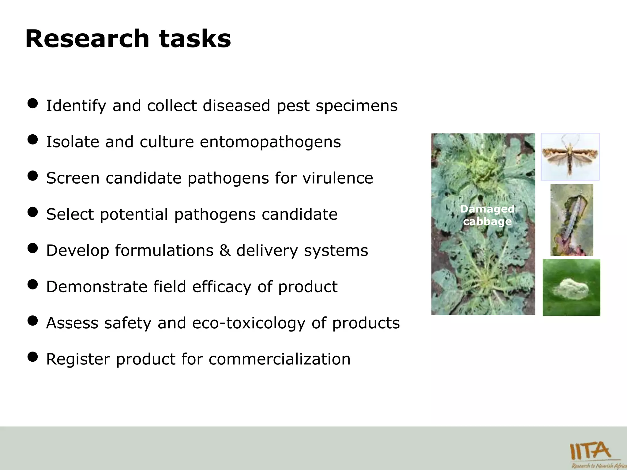 Mycopesticide development for vegetables | PDF